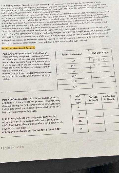 Solved Lab Activity 3 Blood Types Remember, with few | Chegg.com