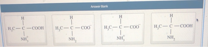 Solved Place each charge form of alanine under the pH | Chegg.com