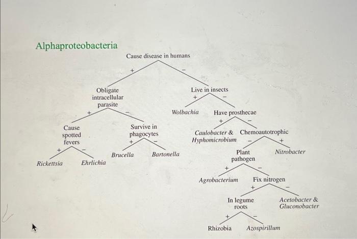 Solved please i want this in such format. i will send | Chegg.com