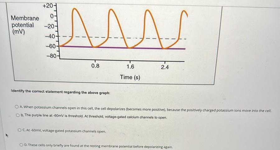 Solved Identify the correct statement regarding the above | Chegg.com