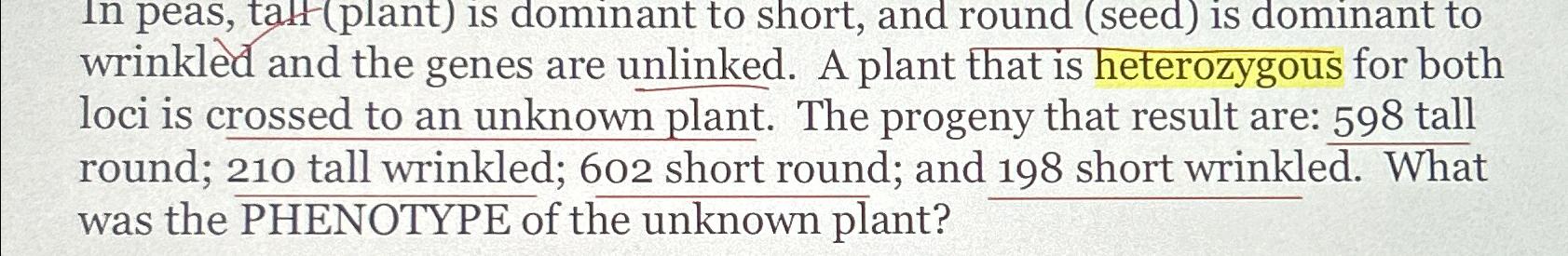 Solved In peas, tali (plant) ﻿is dominant to short, and | Chegg.com