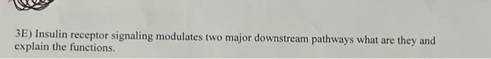 Solved 3E) Insulin receptor signaling modulates two major | Chegg.com