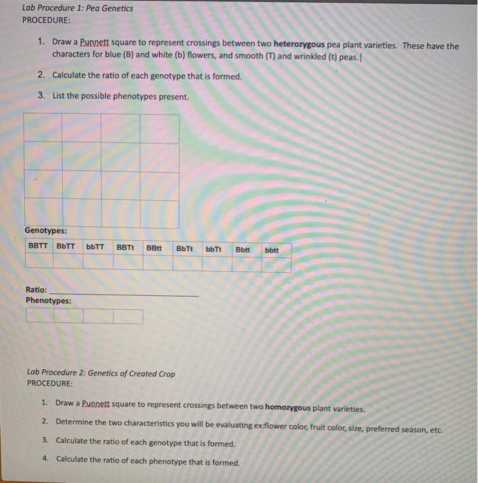 Solved Lab Procedure 1: Pea Genetics PROCEDURE: 1. Draw a | Chegg.com
