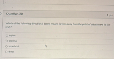 Solved Question 201 ﻿ptsWhich of the following directional | Chegg.com