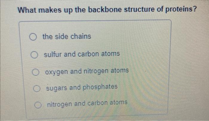 Solved What makes up the backbone structure of proteins? the | Chegg.com