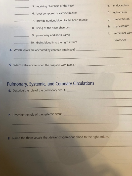 Solved EXERCISE Anatomy OT the Heart Name Lab Time/Date | Chegg.com