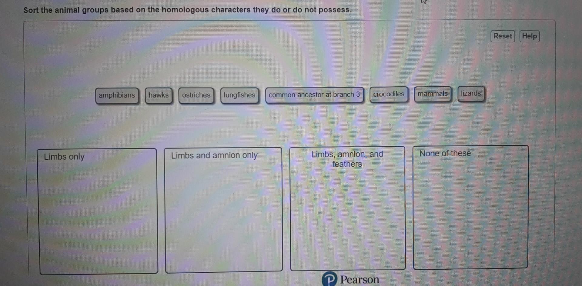 Solved The evolutionary tree for tetrapods shows traits that | Chegg.com
