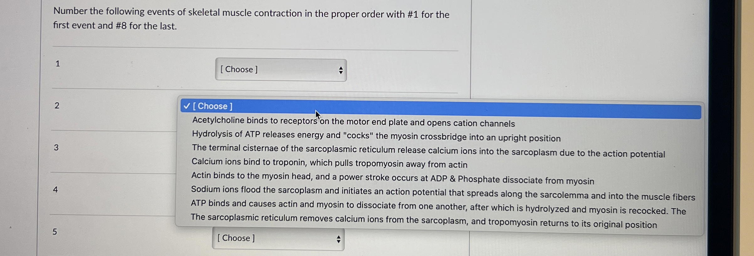 Solved Number the following events of skeletal muscle | Chegg.com
