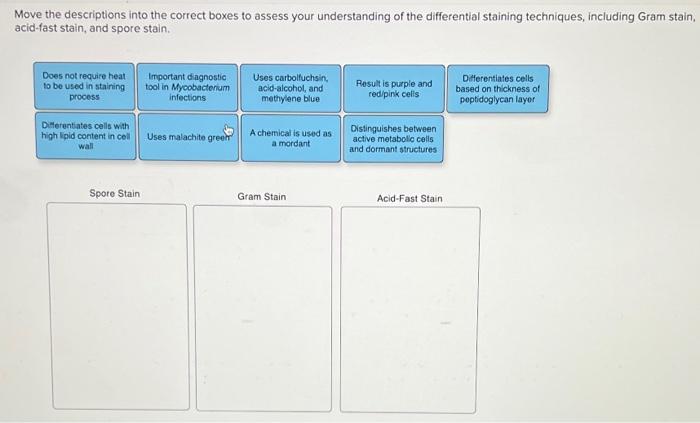 Solved Move the descriptions into the correct boxes to | Chegg.com
