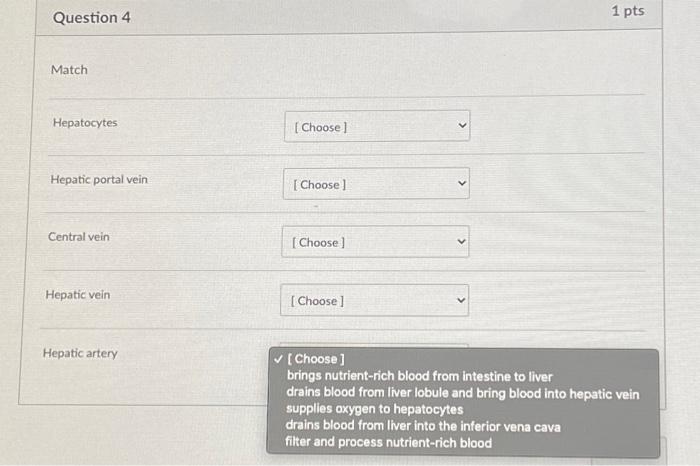 Solved Match Falciform ligament Round ligament (ligamentum | Chegg.com