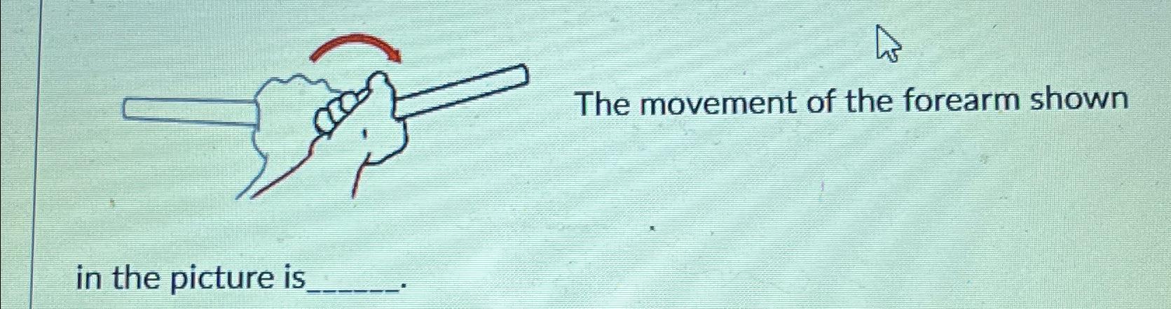 Solved The movement of the forearm shown in the picture is | Chegg.com