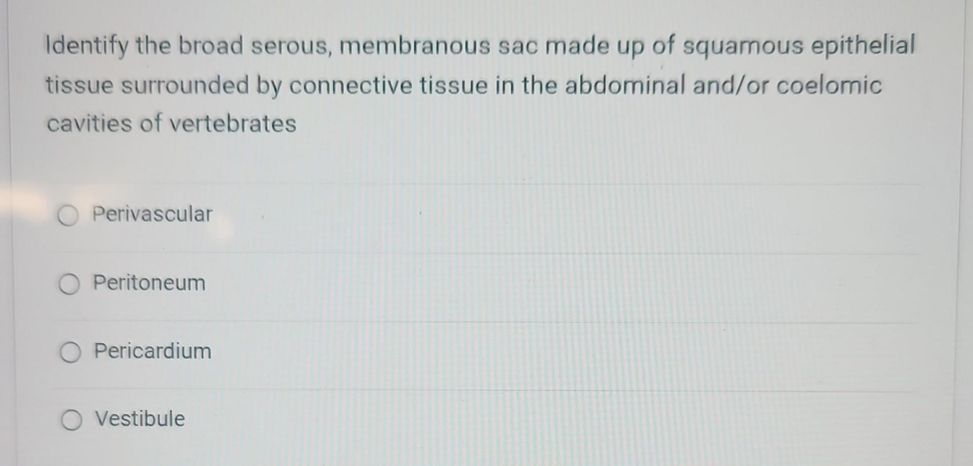 Solved Identify the broad serous, membranous sac made up of | Chegg.com