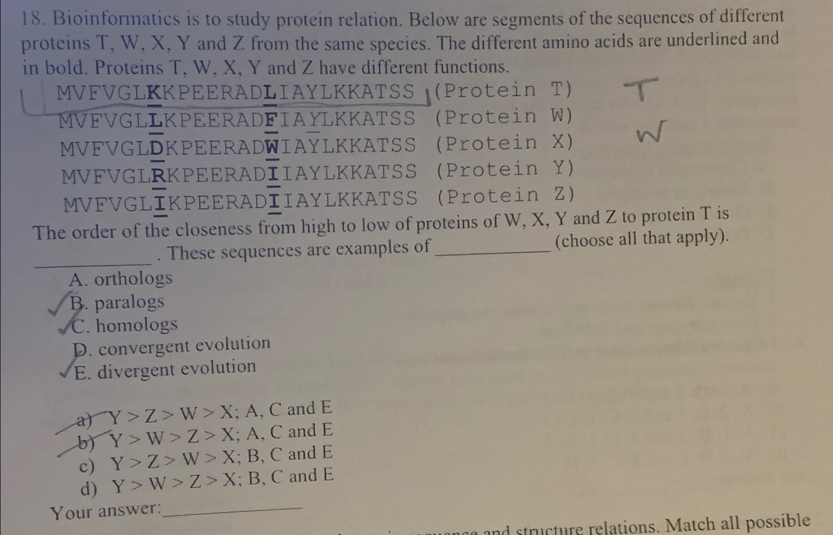 Solved Bioinformatics is to study protein relation. Below | Chegg.com