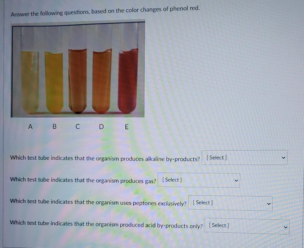 Solved Answer the following questions, based on the color | Chegg.com
