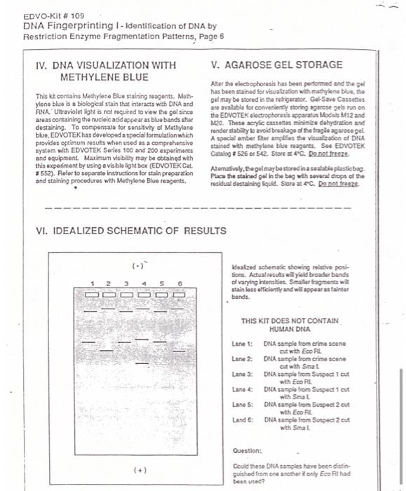 Solved ) > EDVO-Kit # 109 DNA Fingerprinting I- | Chegg.com