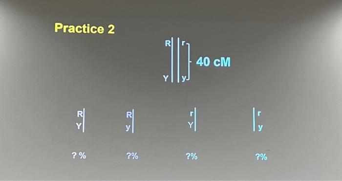 Practice 2 r∣∣yR]r−40cM | Chegg.com