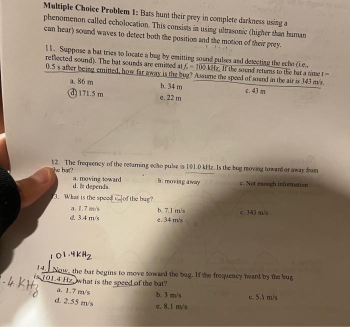 Solved Multiple Choice Problem 1: Bats hunt their prey in | Chegg.com