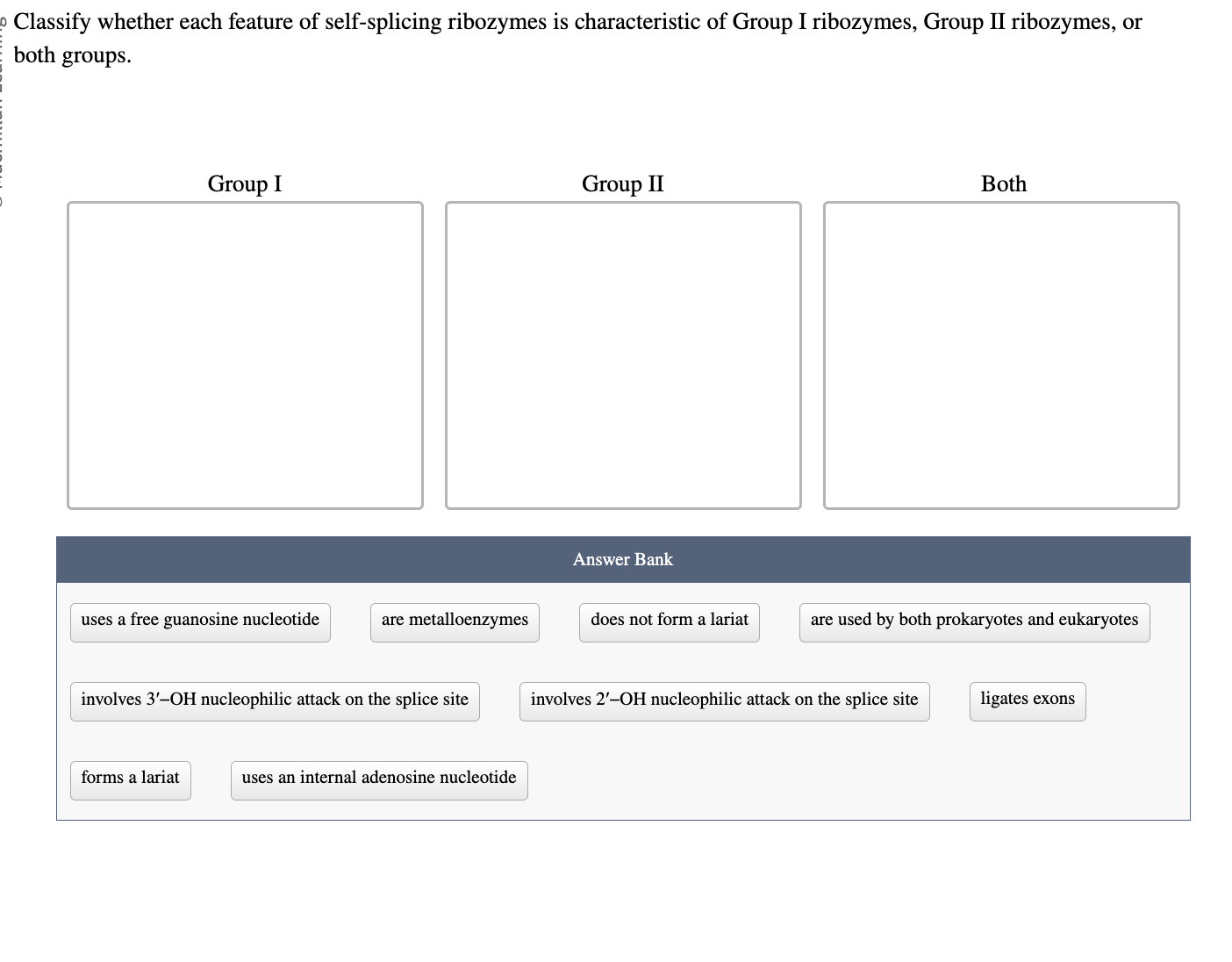 Solved Classify whether each feature of self-splicing | Chegg.com