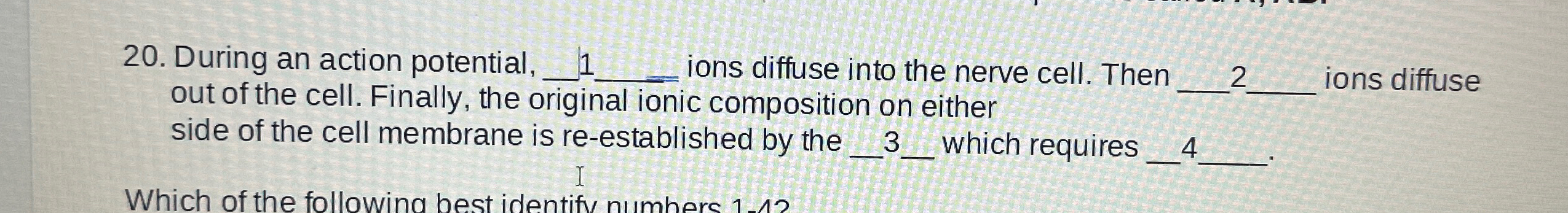 Solved During an action potential, ions diffuse into the | Chegg.com