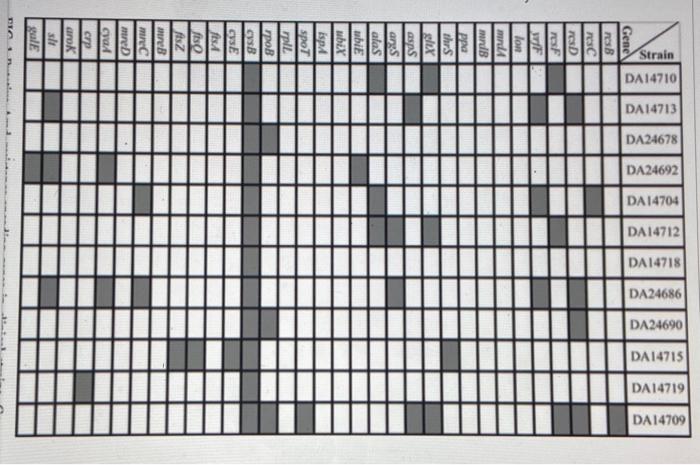 Solved 1. Based on Figare 1, identify what is the dominant | Chegg.com
