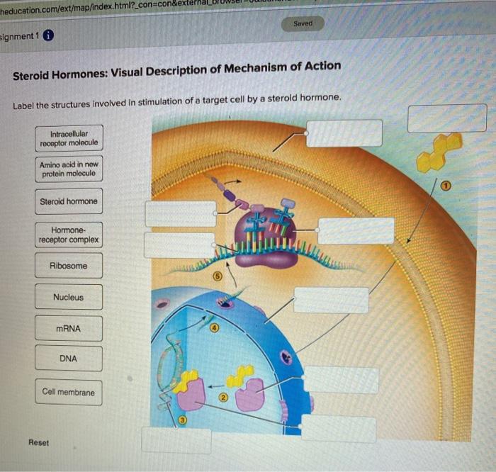 Solved heducation.com/ext/map/index.html?_con=con&ex Saved | Chegg.com