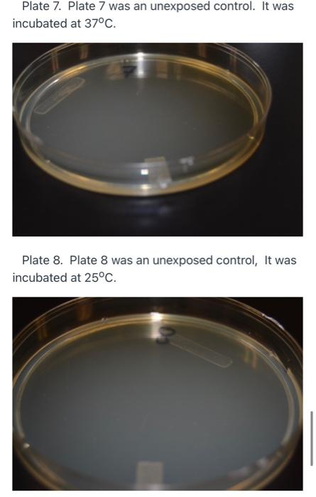 Solved Name Date Lab Section DATA SHEET 2-1 I was present | Chegg.com