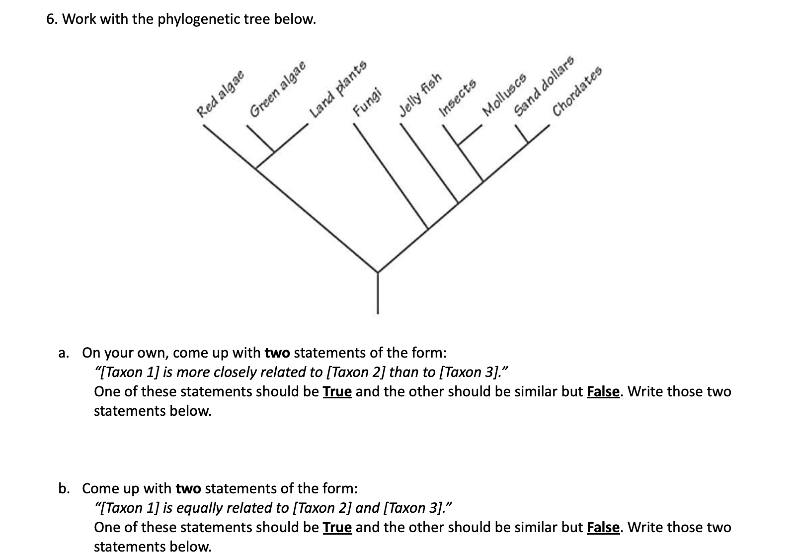 Solved Work with the phylogenetic tree below.a. ﻿On your | Chegg.com