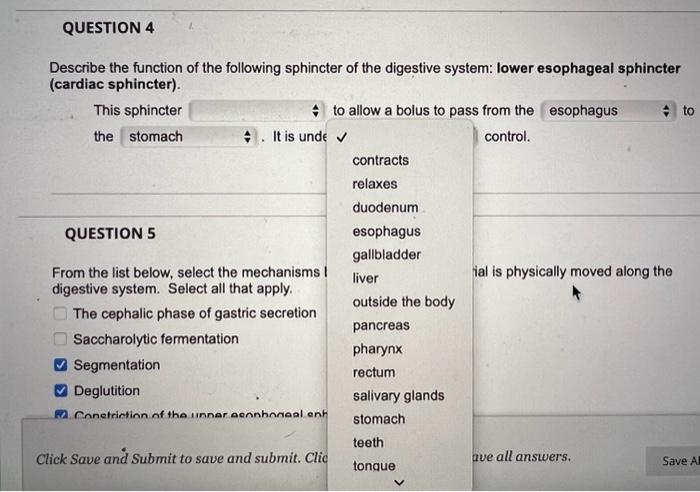 Solved hello please help me for these two questions 4 and 9 | Chegg.com