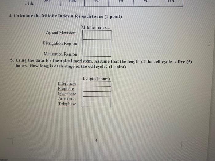 Solved Interphase Prophase Metaphase Anaphase Telophase | Chegg.com