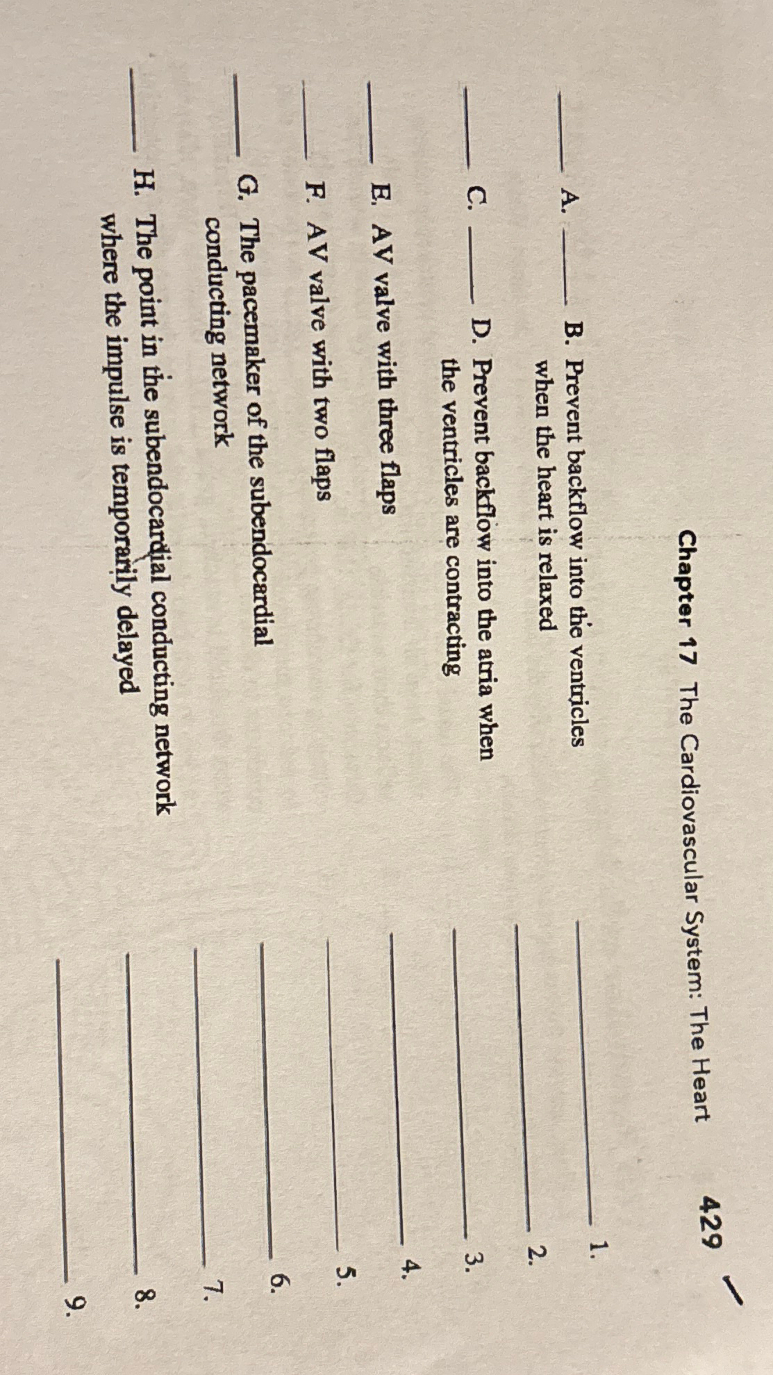 Solved Chapter 17 ﻿The Cardiovascular System: The | Chegg.com