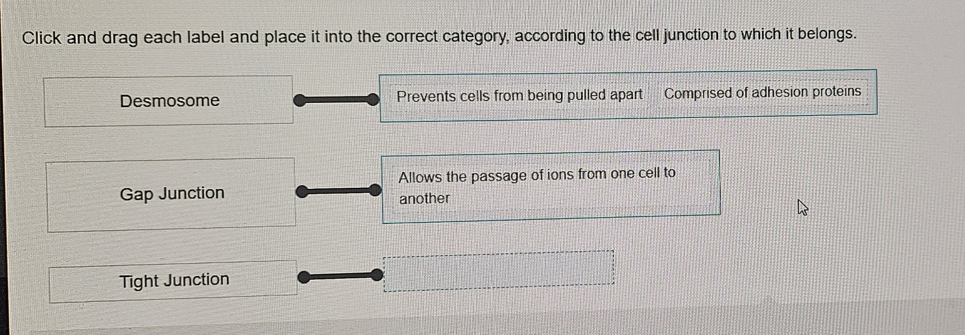 Solved Click and drag each label and place it into the | Chegg.com