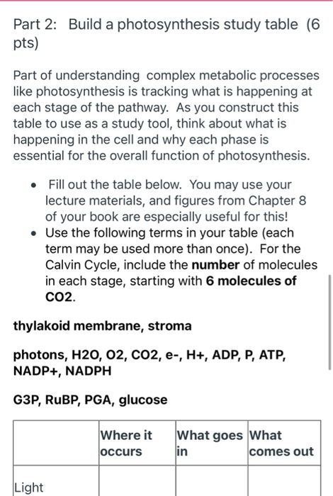 Part 2: Build a photosynthesis study table (6 pts) | Chegg.com