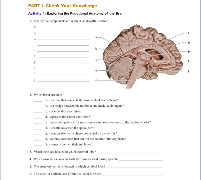 Solved PART I. Check Your Knowledge Activity 1: Exploring | Chegg.com