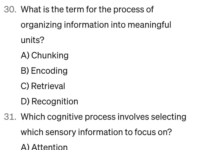 Solved What is the term for the process of organizing | Chegg.com