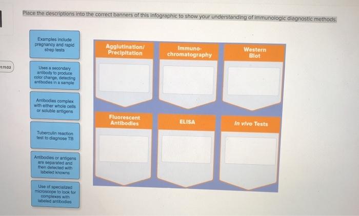 Solved Place the descriptions into the correct banners of | Chegg.com