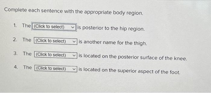 Complete each sentence with the appropriate body | Chegg.com