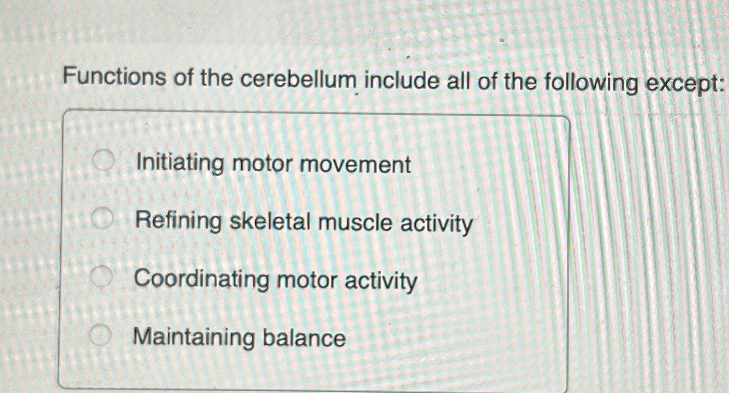 Solved Functions of the cerebellum include all of the | Chegg.com