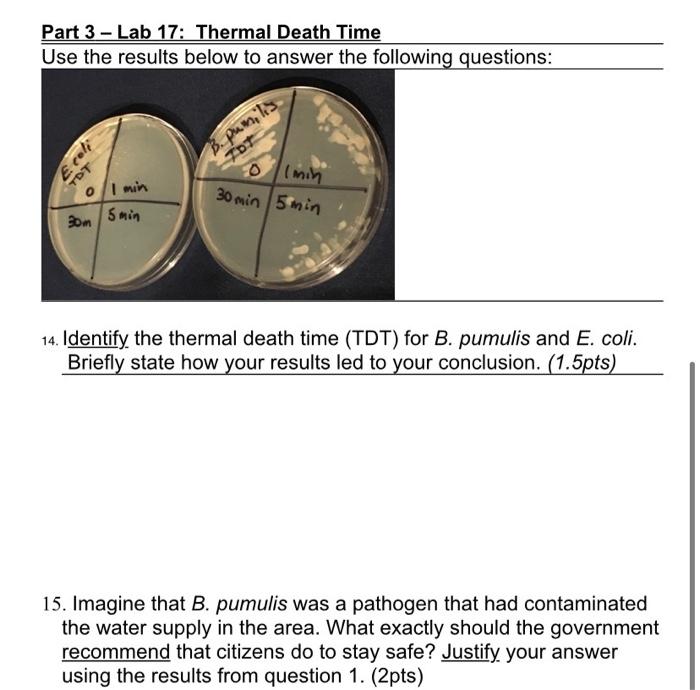 Solved What is the thermal death time for each species of | Chegg.com