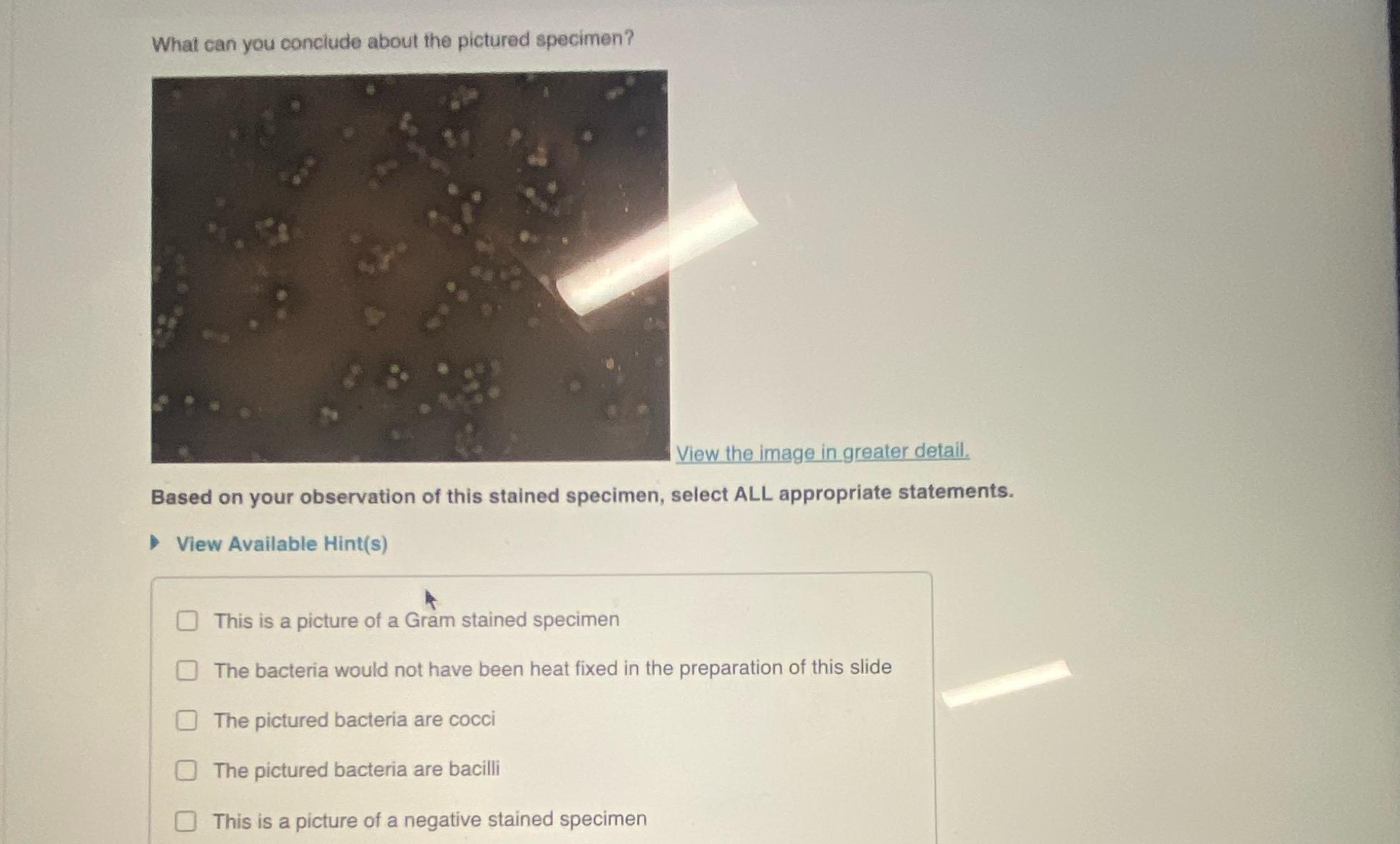 Solved What can you conclude about the pictured specimen?lew | Chegg.com