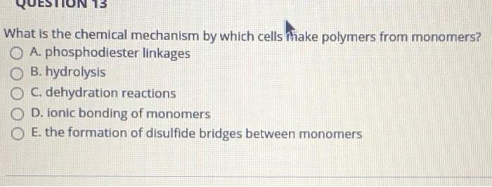 Solved 13 What is the chemical mechanism by which cells Fake | Chegg.com