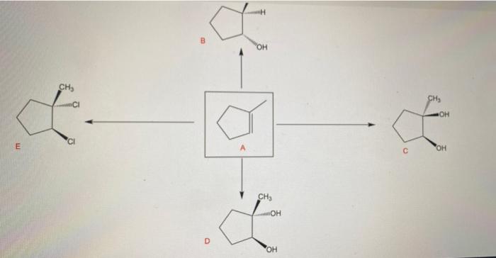 Solved Alkenes can undergo stereoselective reactions to form | Chegg.com