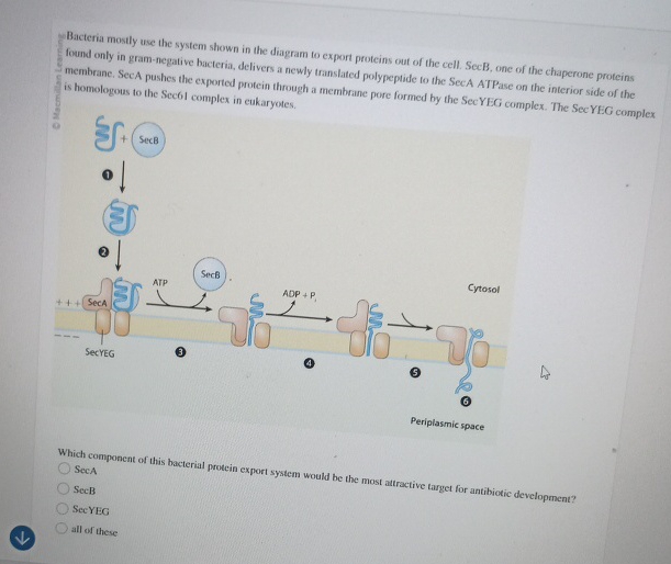 Solved Bacteria mostly use the system shown in the diagram | Chegg.com