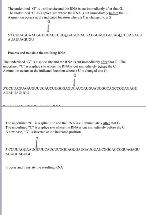 Solved What is the longest polypeptide encoded by this DNA | Chegg.com