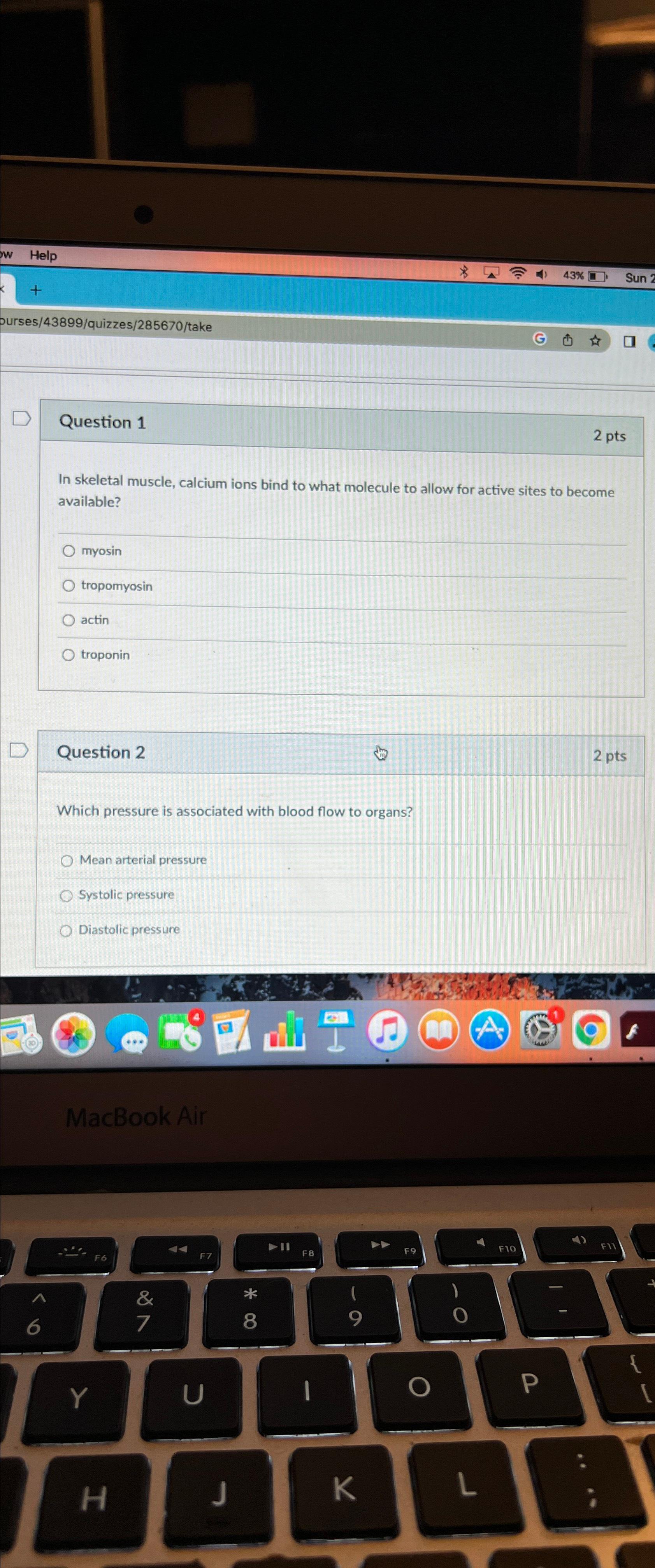 Solved Question 12 ﻿ptsIn skeletal muscle, calcium ions bind | Chegg.com