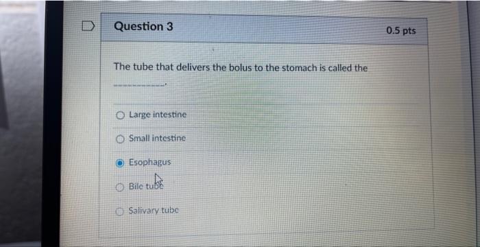 Solved The stomach is a storage organ that also has the role | Chegg.com