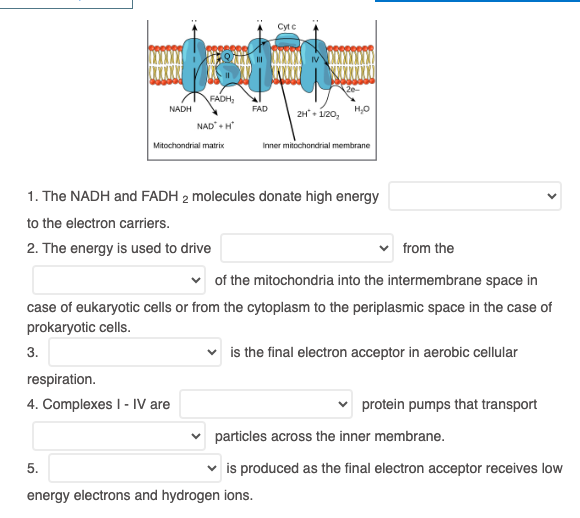 Solved Neutrons, Protons, Electrondonate high energyto the | Chegg.com