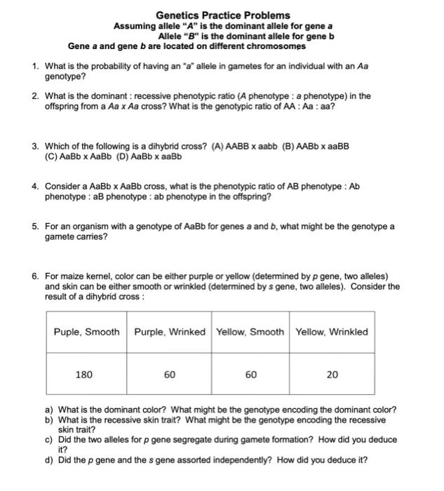 Solved Genetics Practice Problems Assuming allele "A" is the | Chegg.com