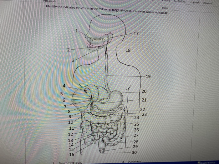 Solved Subtle Em Emphasis Paragraph Styles Identify the | Chegg.com