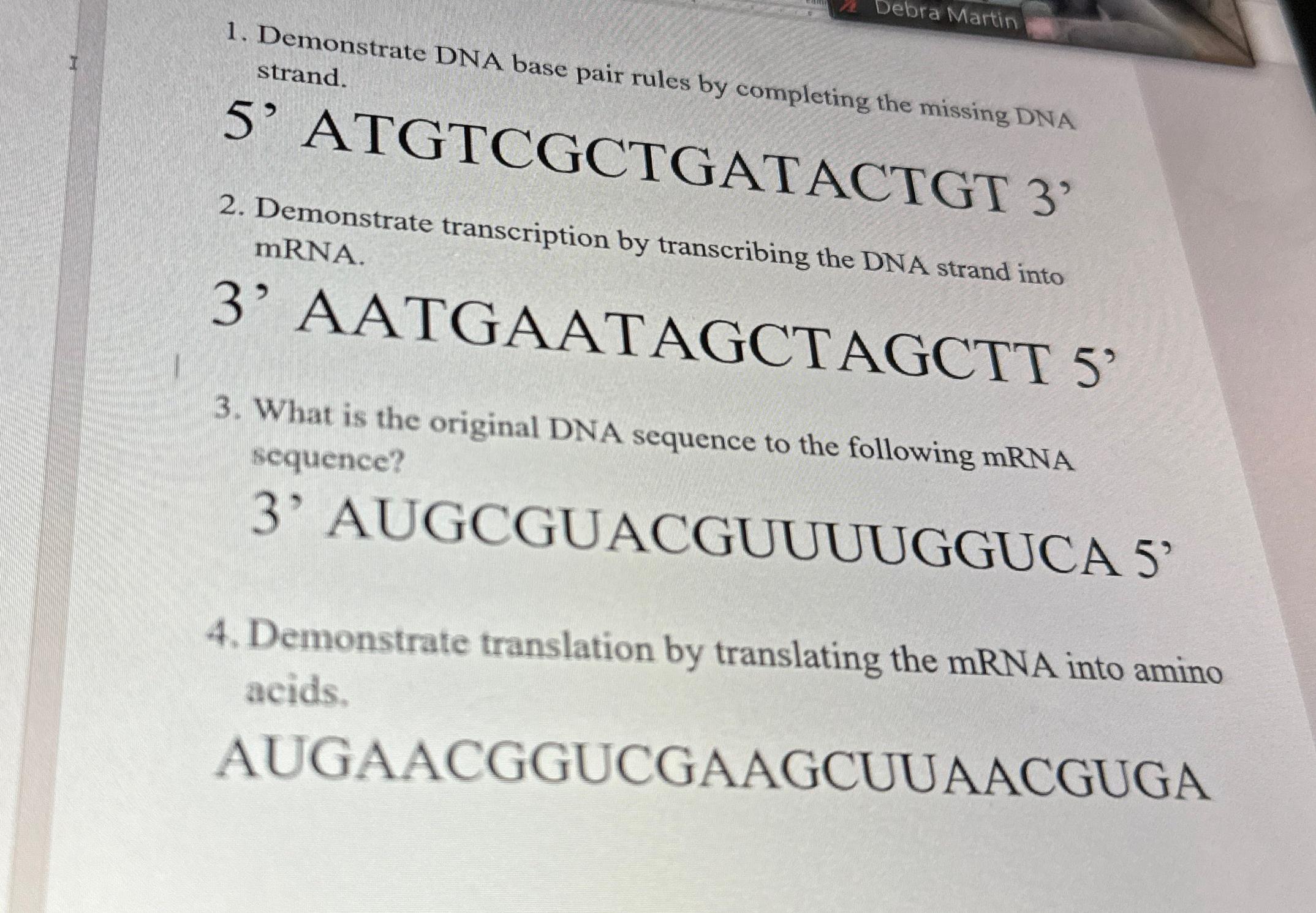 Solved Demonstrate DNA base pair rules by completing the | Chegg.com