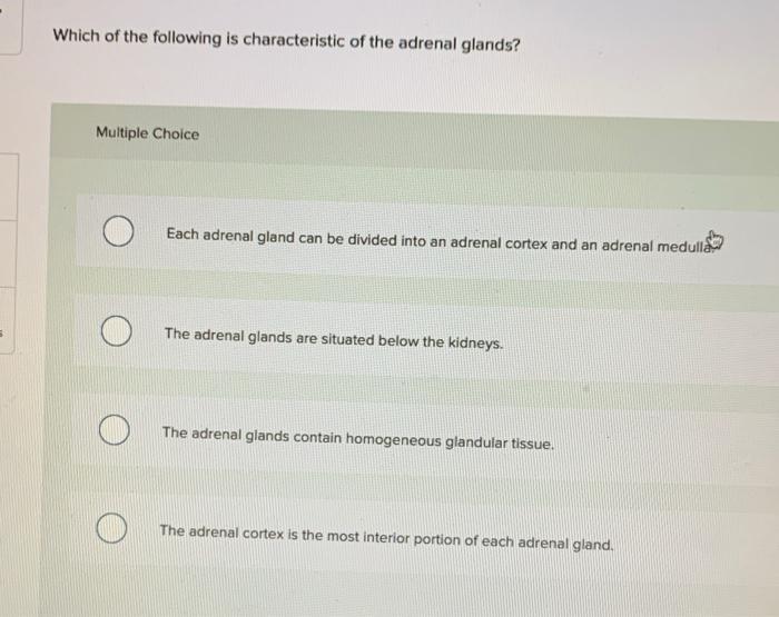 Solved Which of the following is characteristic of the | Chegg.com
